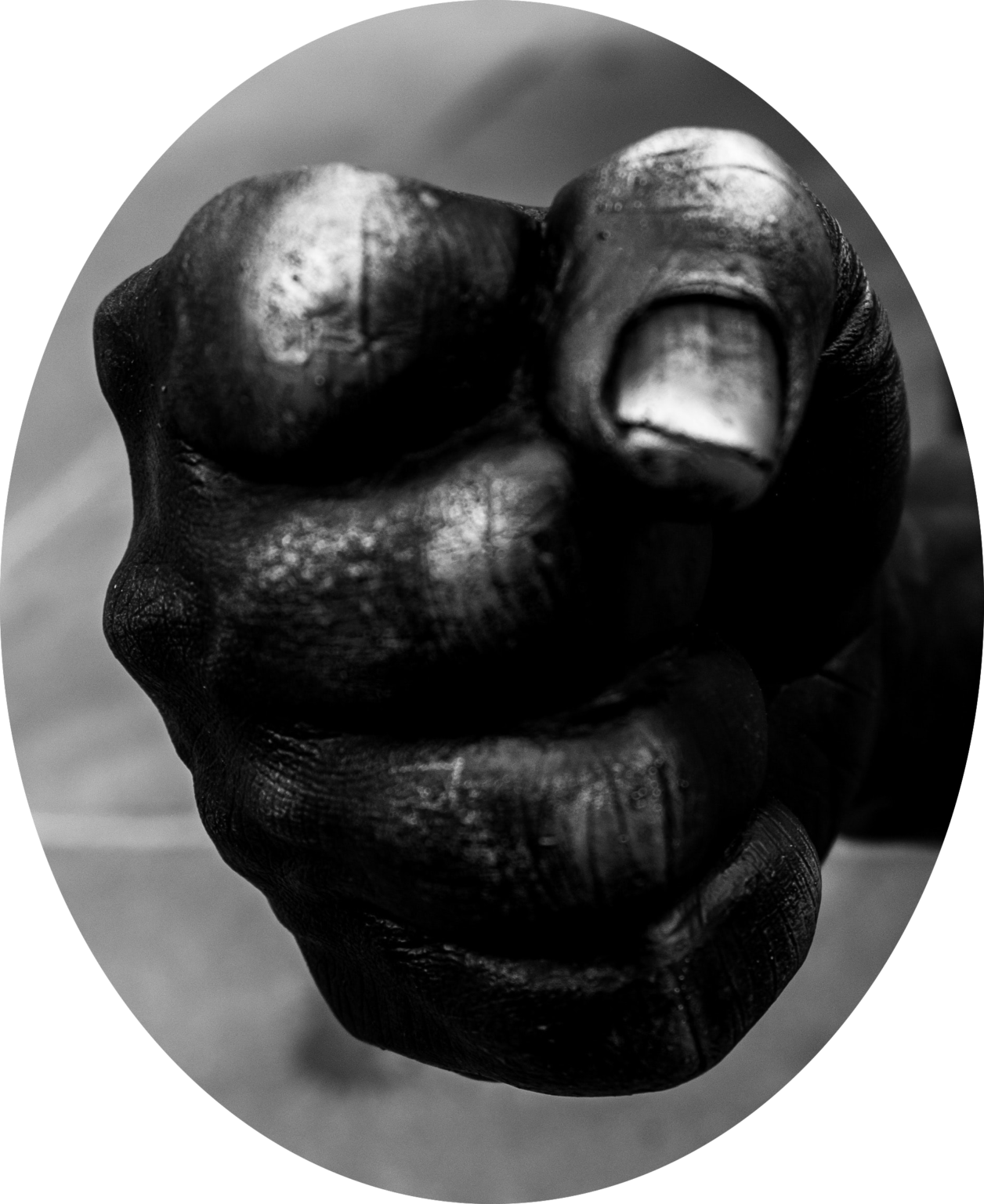 “In All of This, There Can Be Discerned Some Kind of Rationally Acting ...