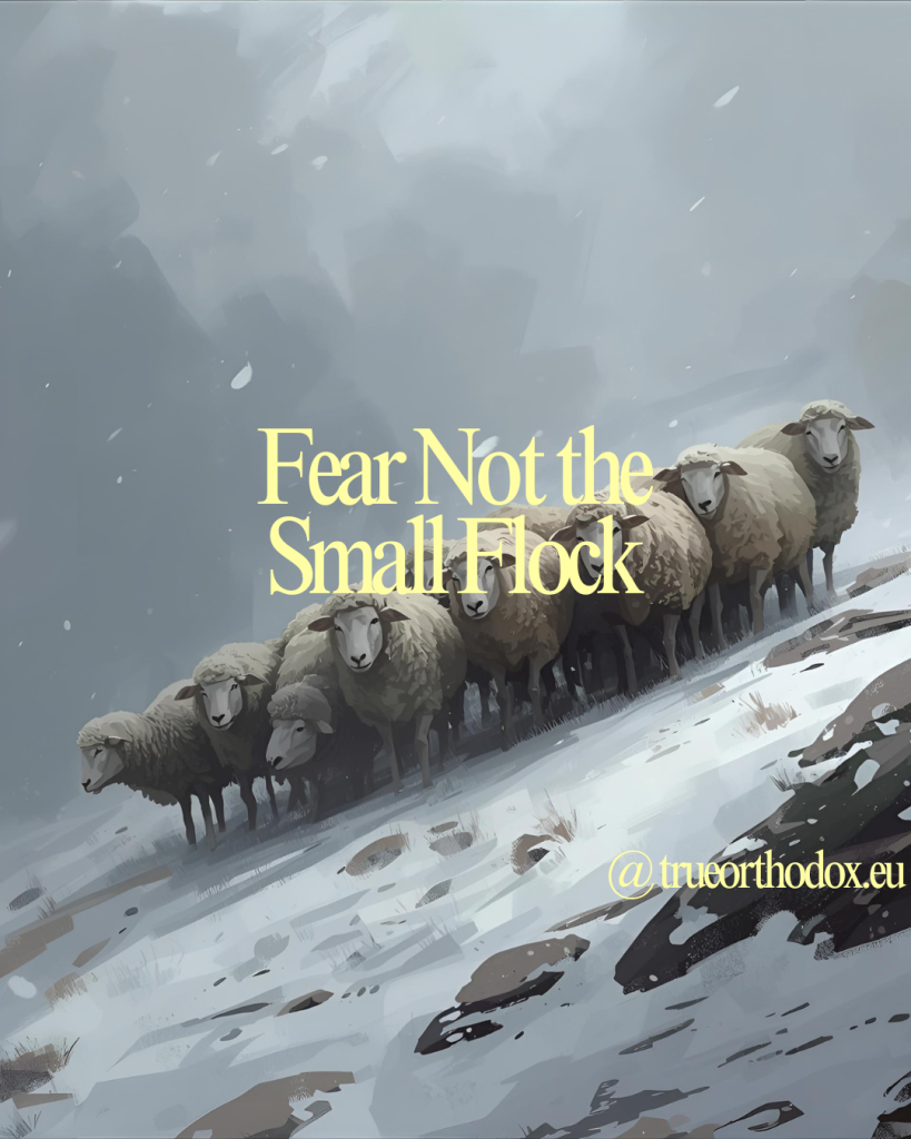 Fear Not the Little Flock – True Orthodox Diocese of Western Europe